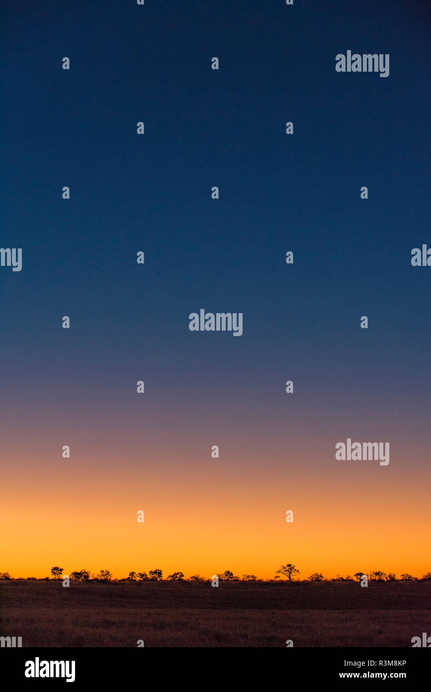 A sunset seen in Zimbabwe's Hwange National Park Stock Photo - Alamy