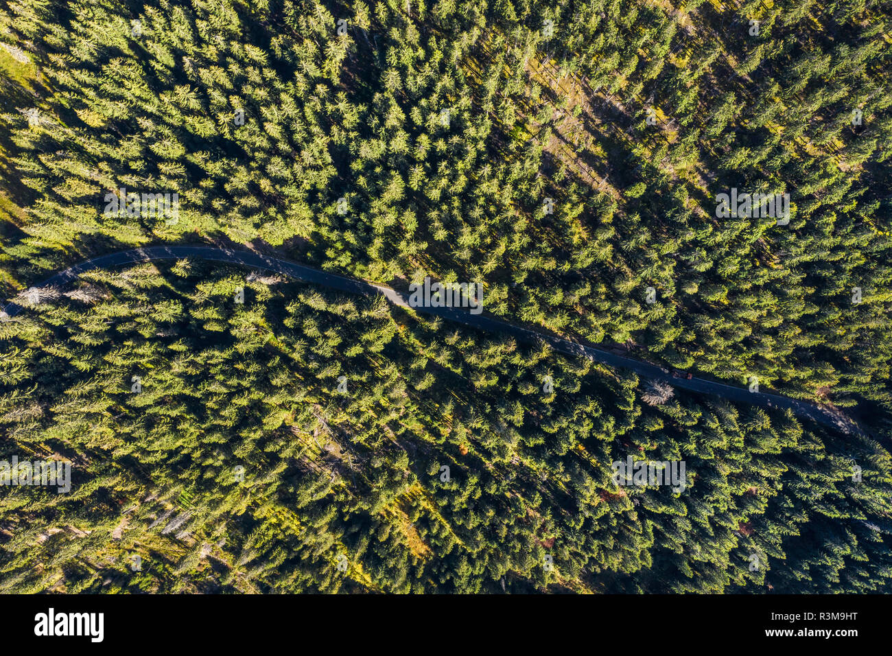 Drone shot, aerial above top view of green forest Stock Photo - Alamy