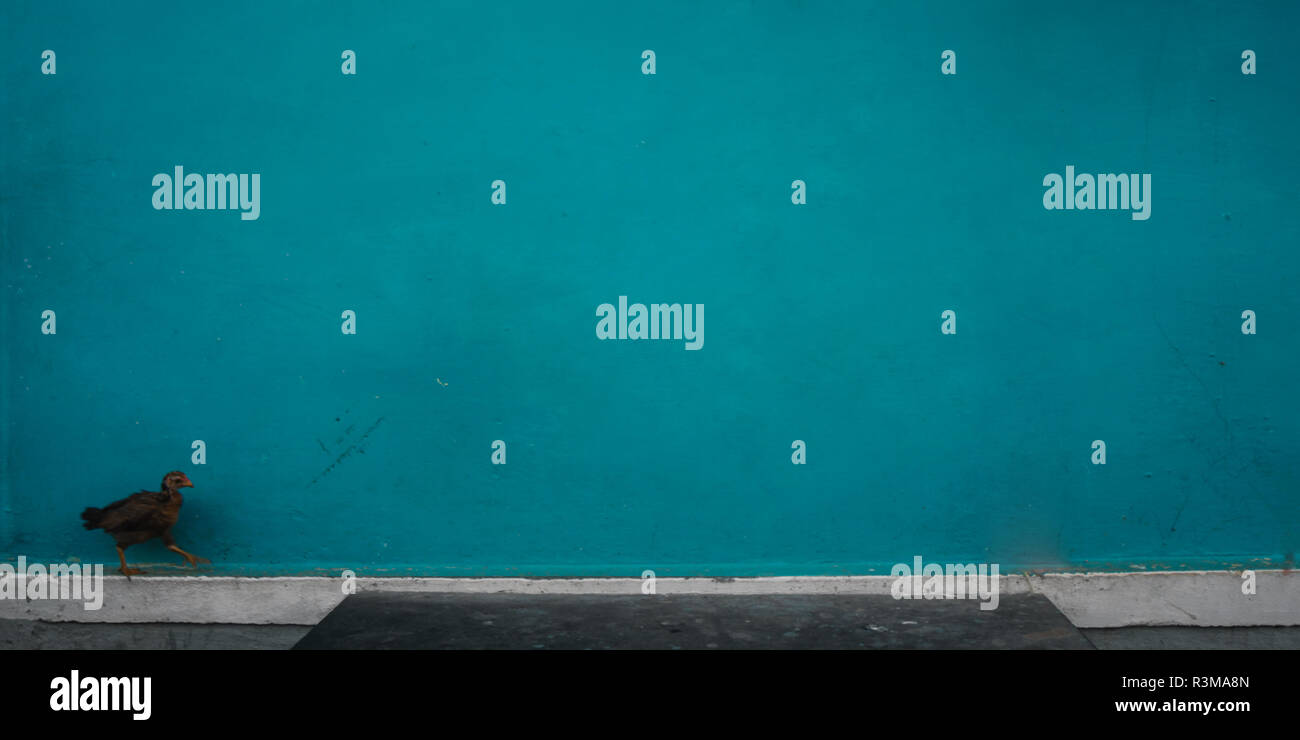 blue wall background with vignette Stock Photo - Alamy
