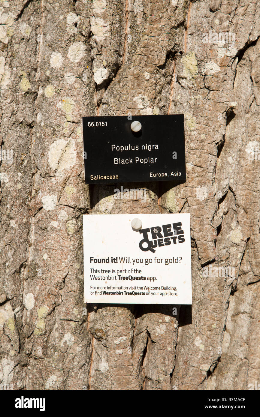 Tree species identification label, National arboretum, Westonbirt ... Tree species identification label, National arboretum, Westonbirt ...