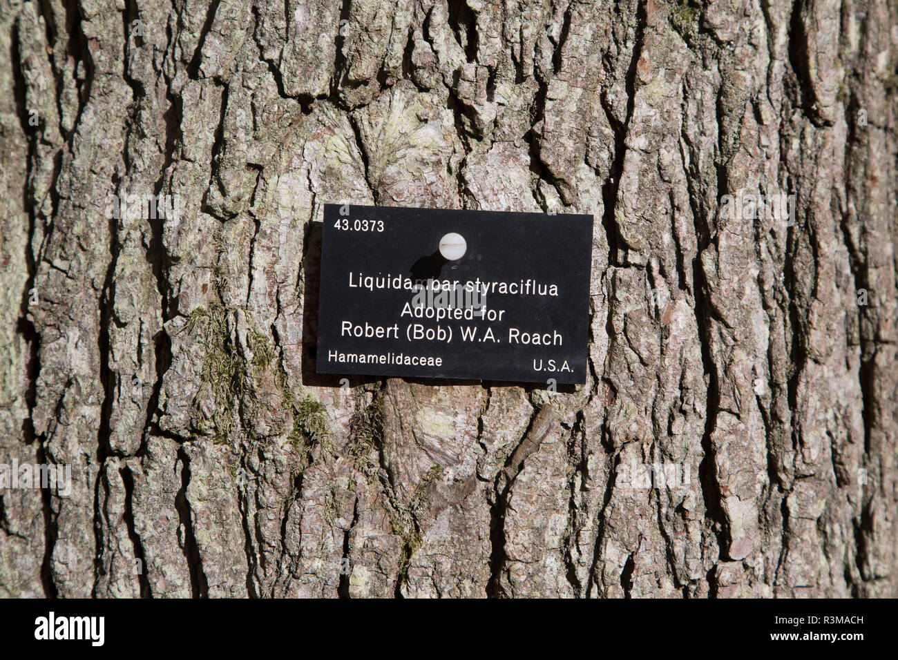 Tree species identification label, National arboretum, Westonbirt ...