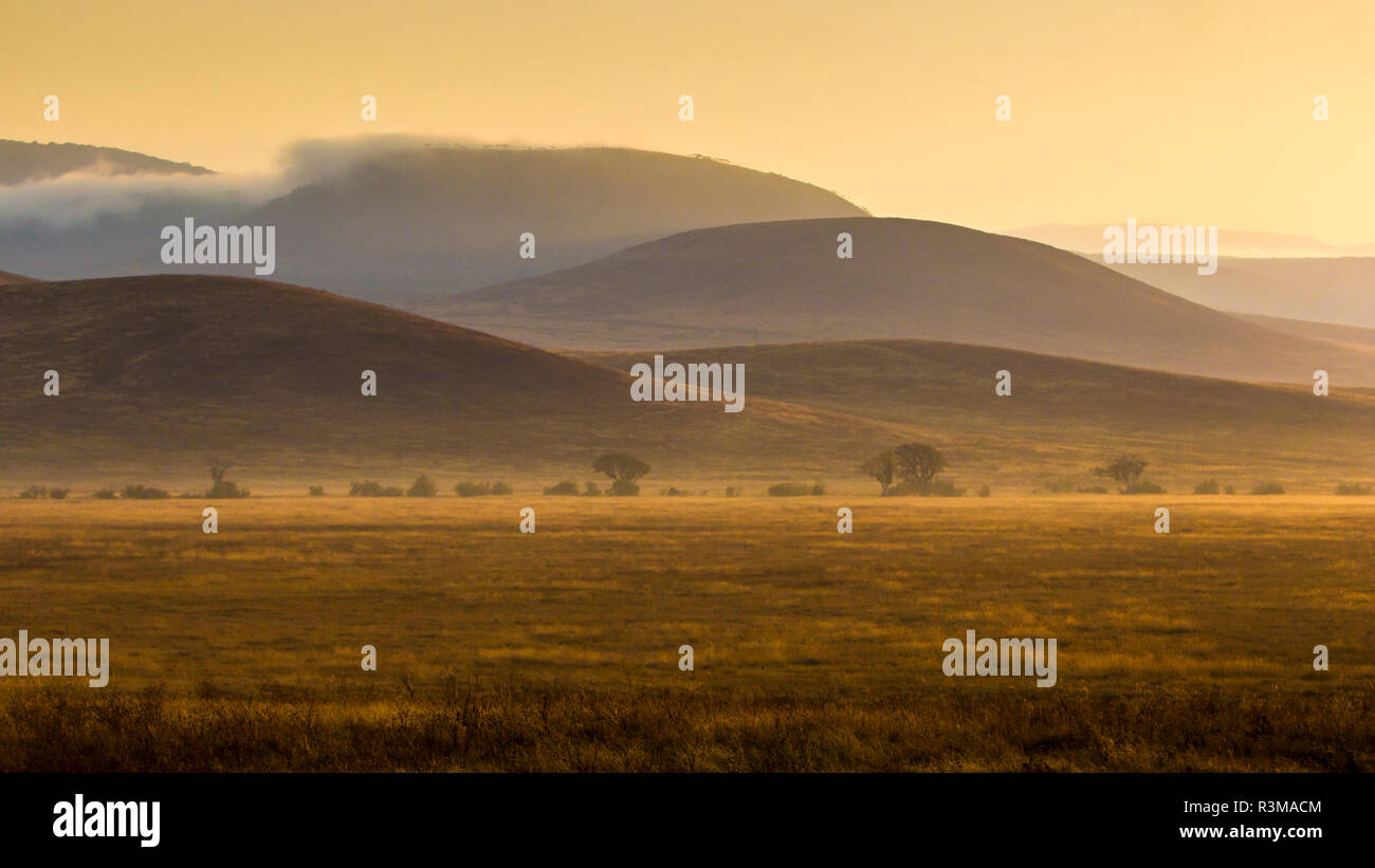 Africa. Tanzania. Colorful sunrise highlights the caldera of the ...