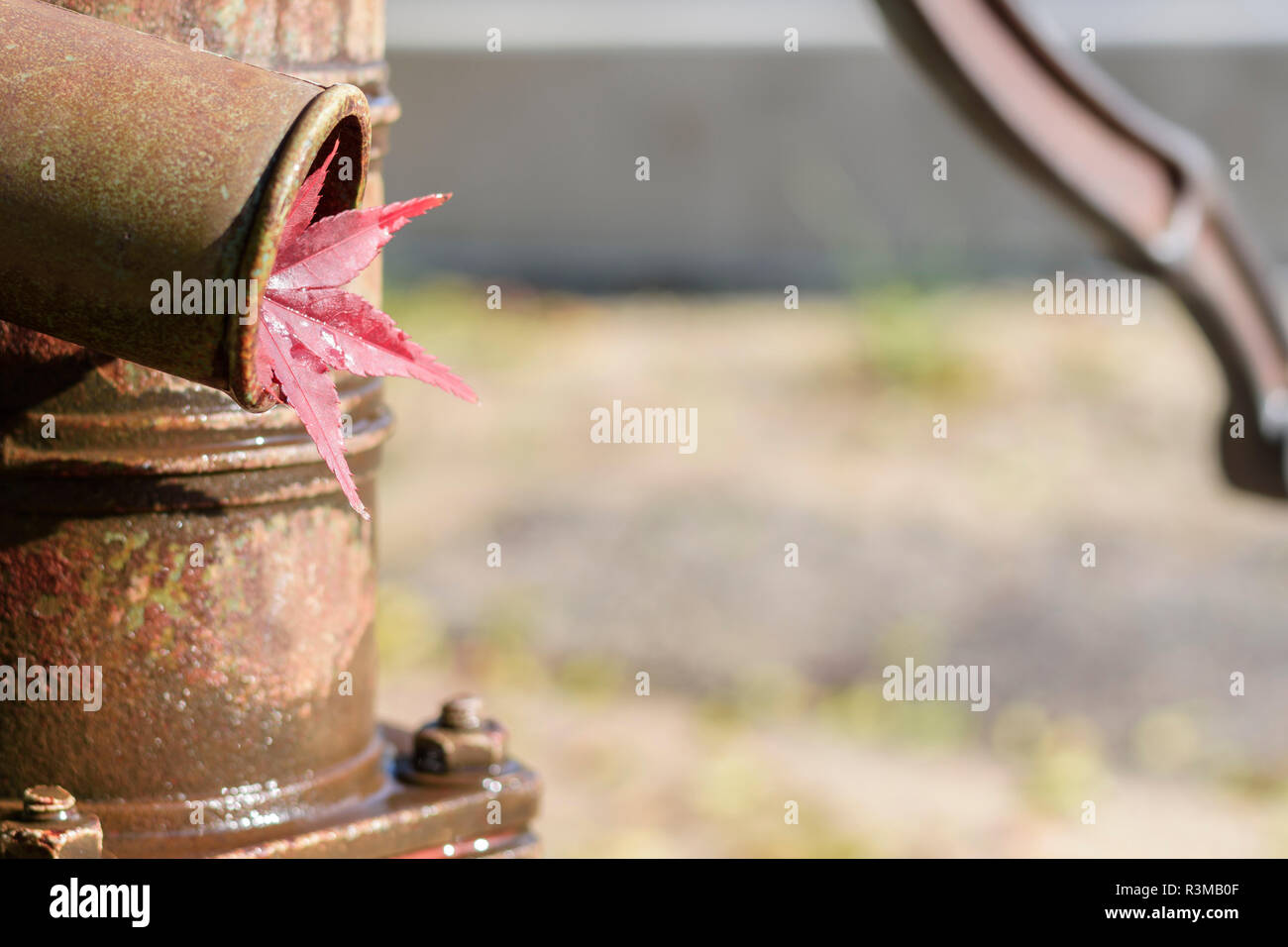 Pump tree hi-res stock photography and images - Alamy