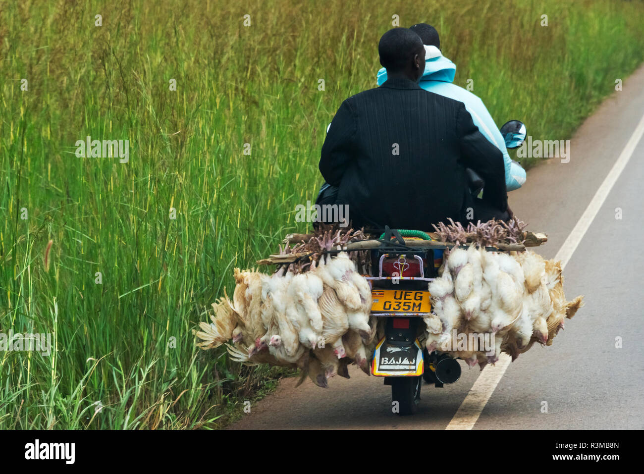 A motorcycle carrying two people and chicken, Entebbe, Uganda Stock ...