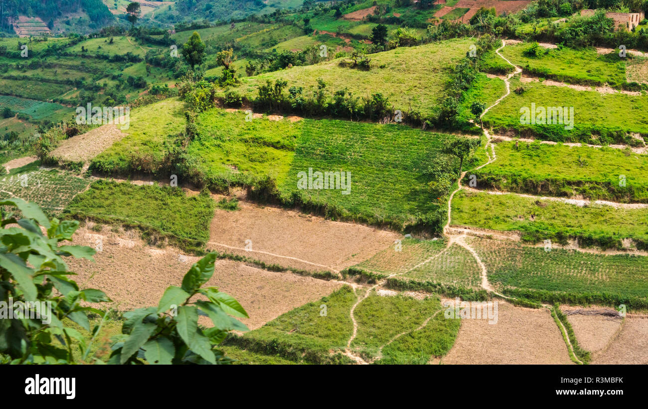 Terraced farmland in the mountain, southwest Uganda Stock Photo - Alamy