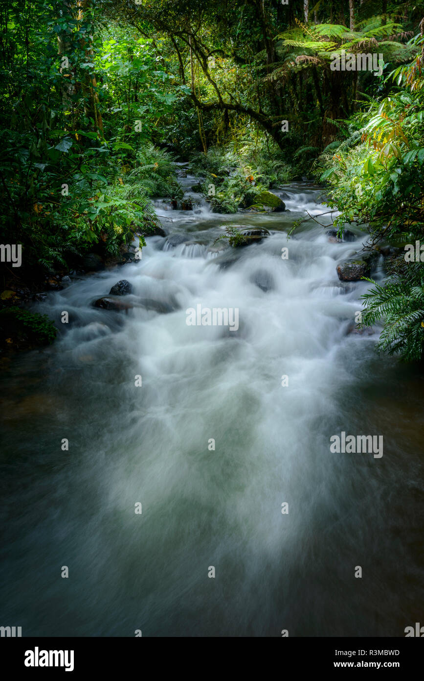 Roger mountain hi-res stock photography and images - Alamy