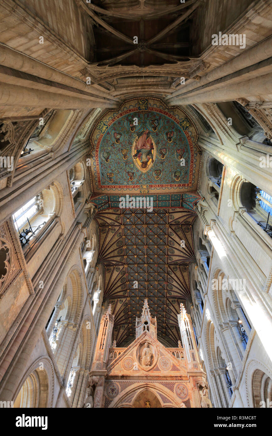 Ceiling details, Interior of Peterborough City Cathedral ...