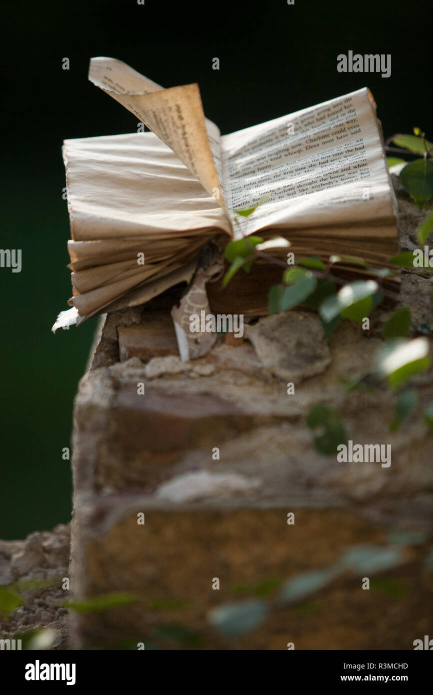wind turning pages of book laying on destroyed wall of terrace Stock ...