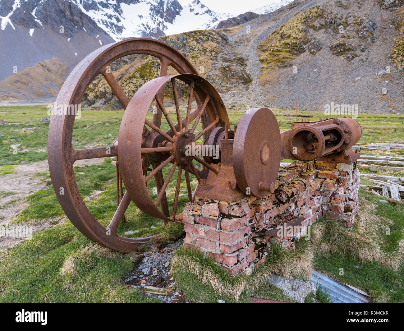 Blubber oil hi-res stock photography and images - Alamy