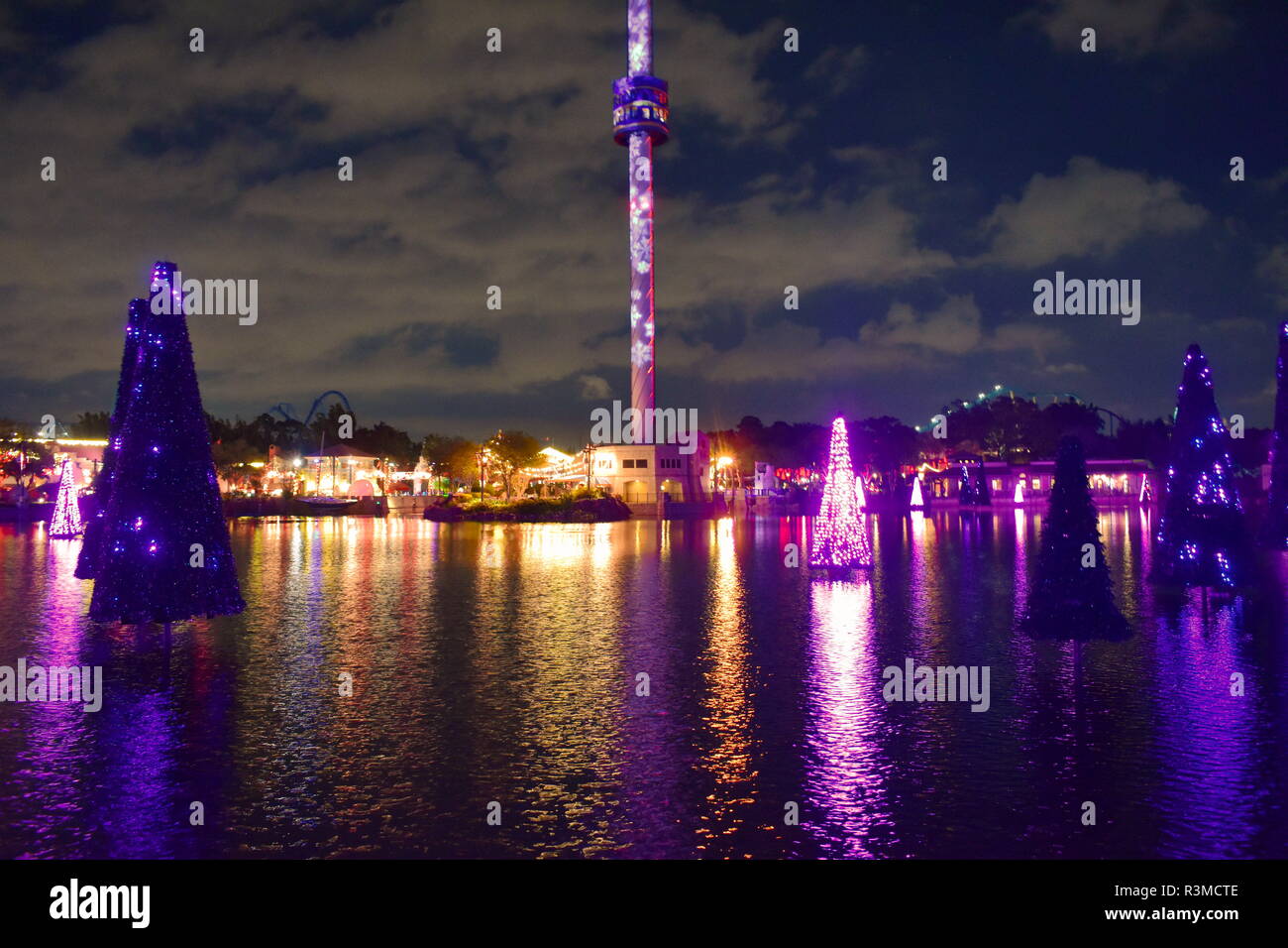 Orlando, Florida. November 17, 2018. Beautiful Trees tightly wrapped in ...