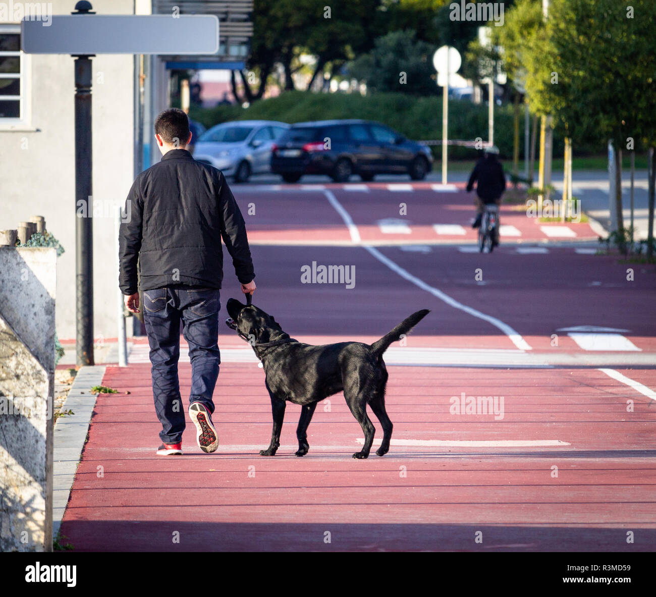 Man with black labrador hi-res stock photography and images - Alamy