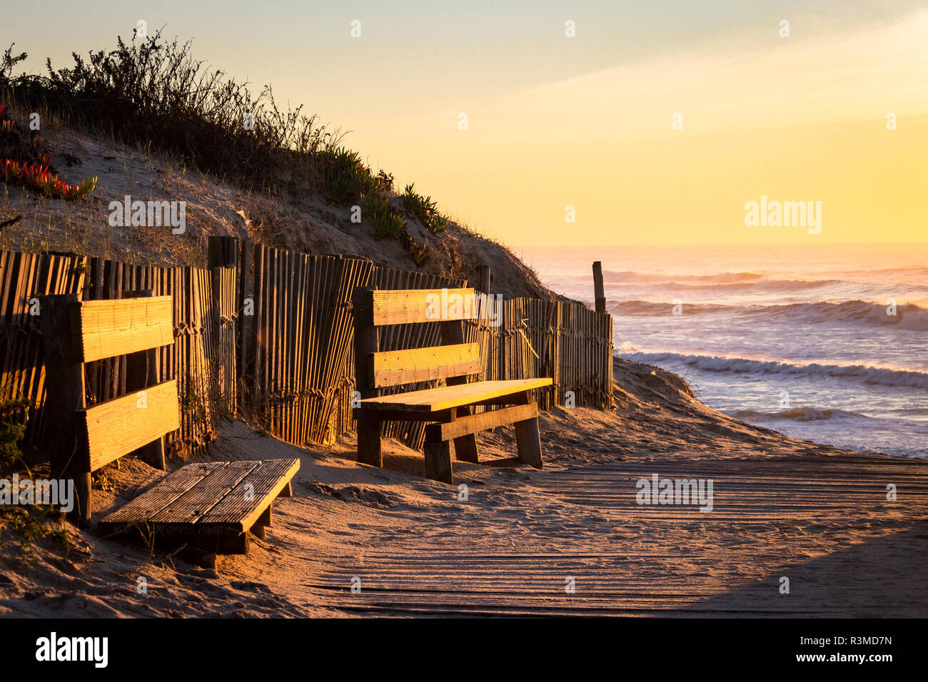 Two wooden benches at the beach, near the ocean. Sunset, golden hour ...