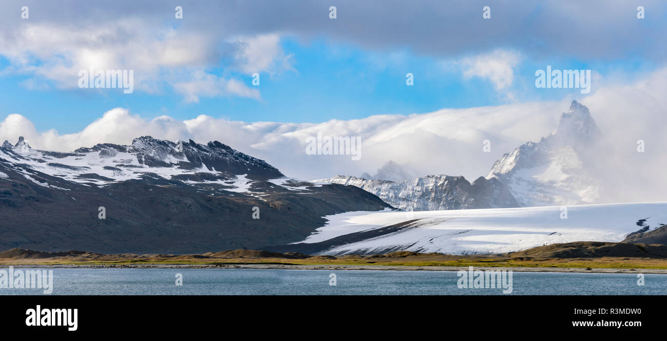 Fortuna glacier south georgia hi-res stock photography and images - Alamy
