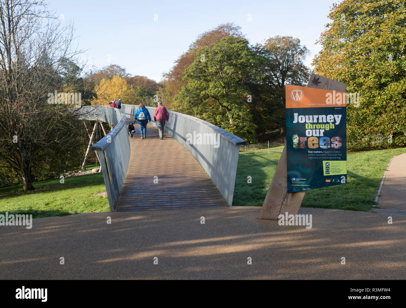 Tree walk westonbirt arboretum hi-res stock photography and images - Alamy