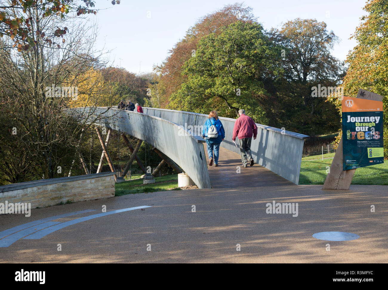 Tree top walk westonbirt arboretum hi-res stock photography and images ...