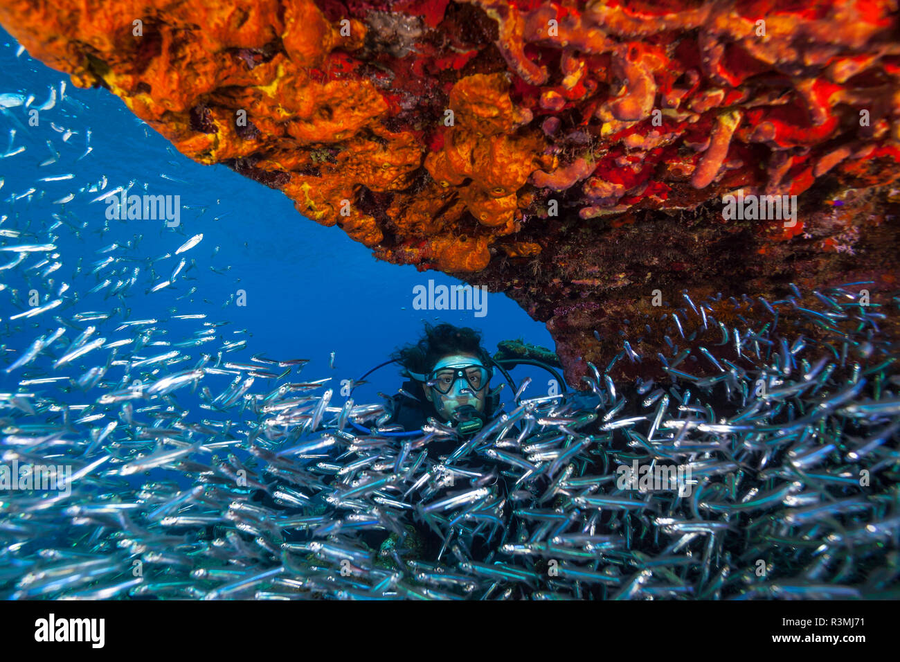 Sugar Wreck, Northern Bahamas, Caribbean Stock Photo - Alamy