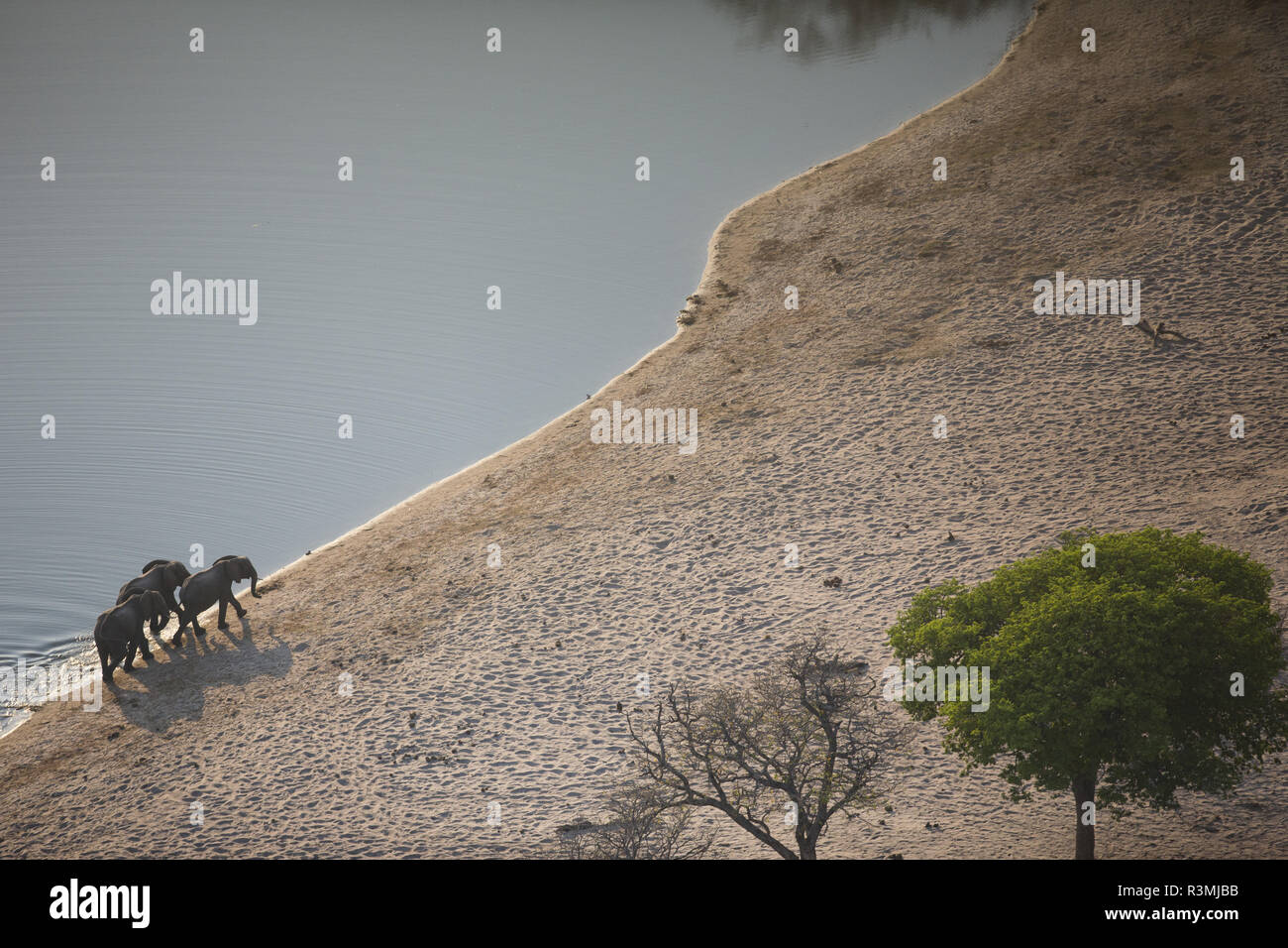 Flora conservancy hi-res stock photography and images - Alamy