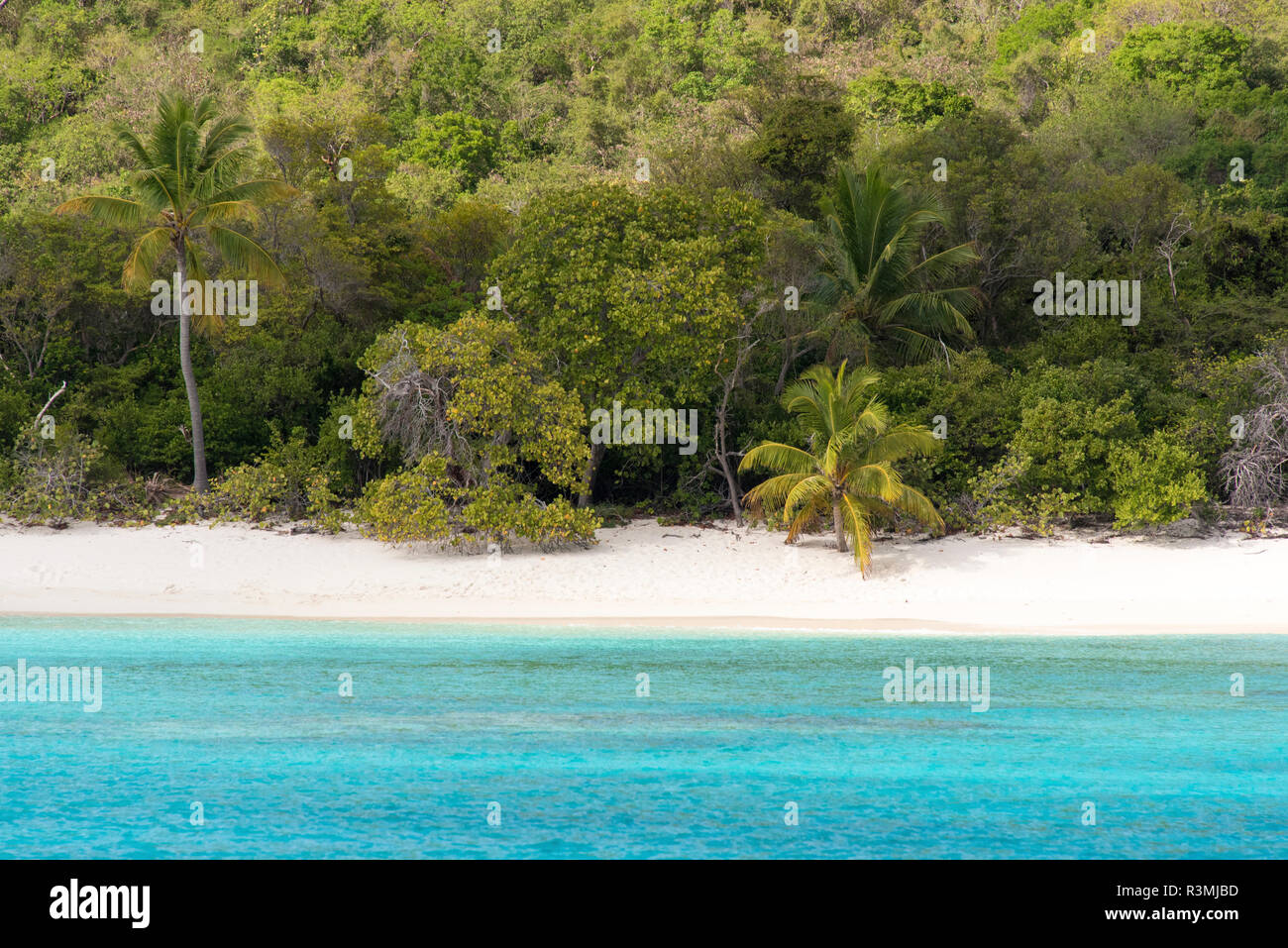 Guana island white bay hi-res stock photography and images - Alamy