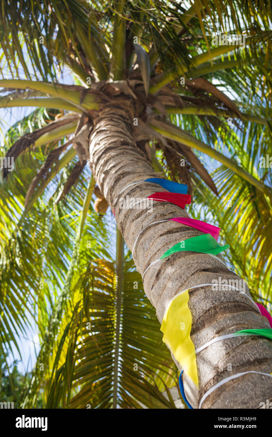 British Virgin Islands, Anegada. Setting Point, palm tree with flags ...