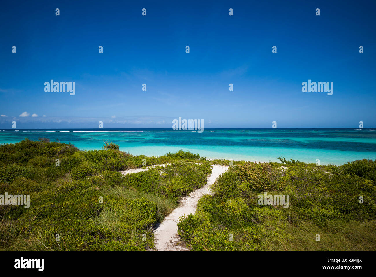 British Virgin Islands, Anegada. Bones Bight Beach Stock Photo - Alamy