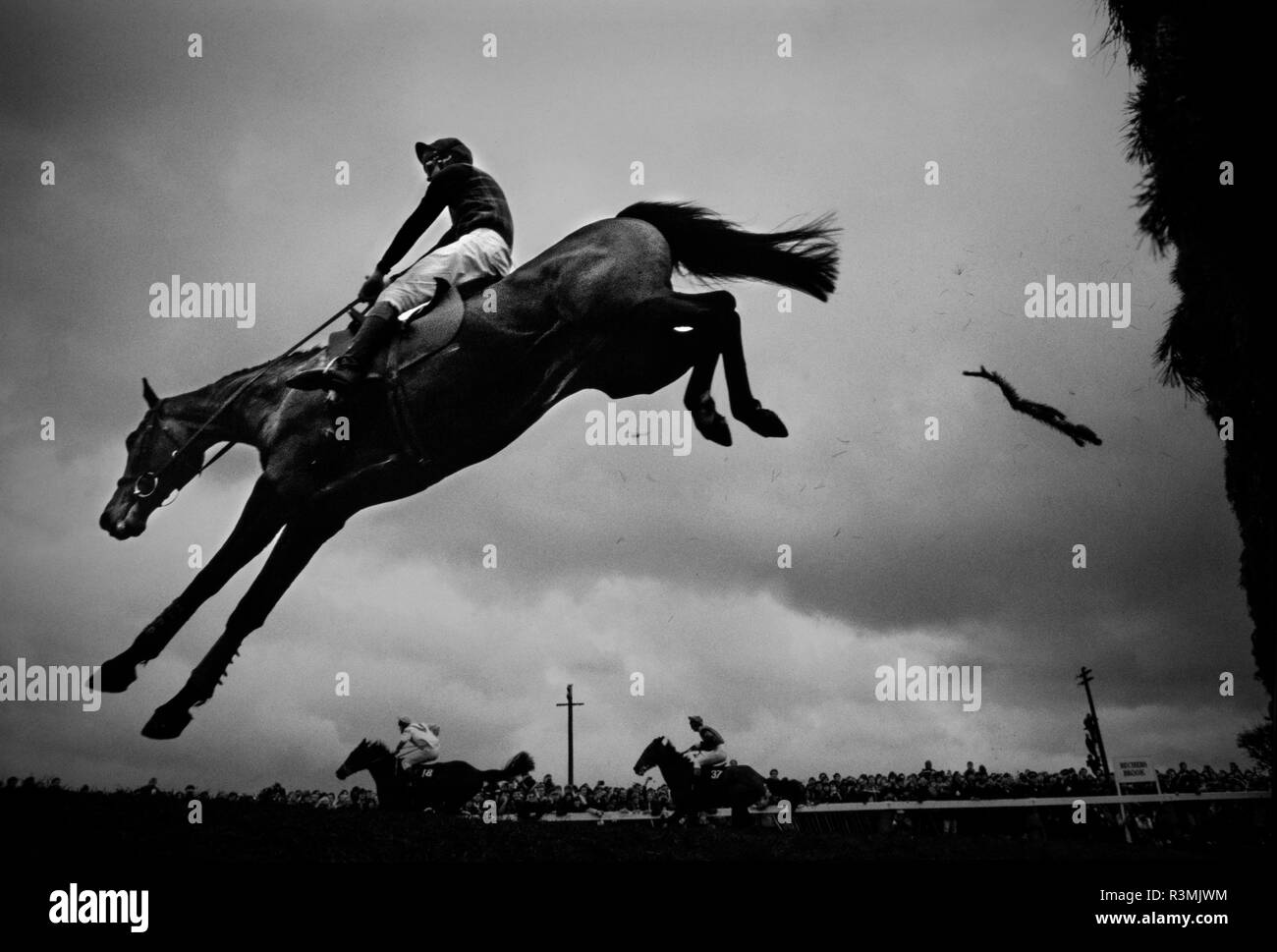 Flutter jump Black and White Stock Photos & Images - Alamy