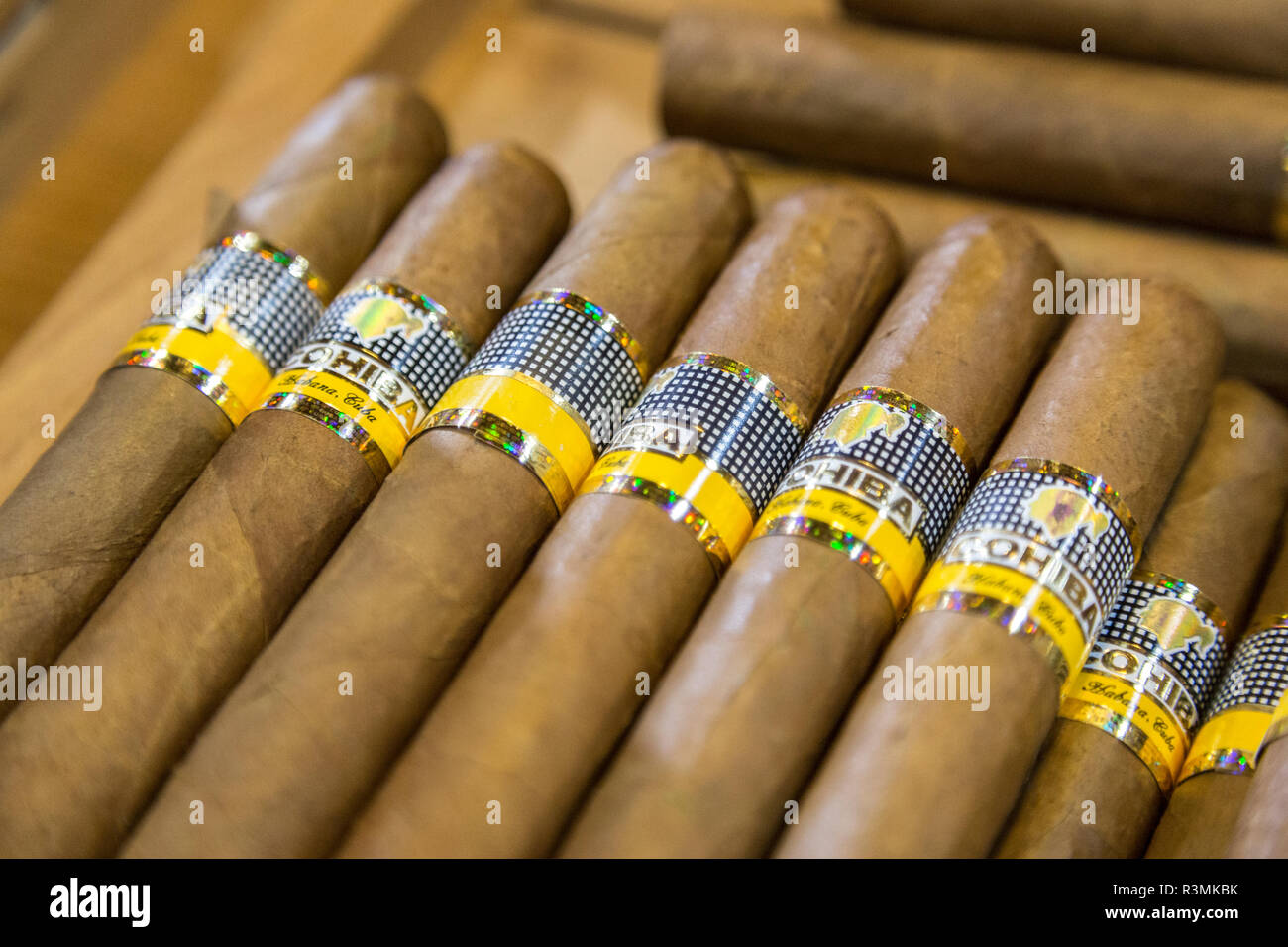 Cuba, Havana, Old Havana. Open cigar box full of Cuban cigars. Credit ...