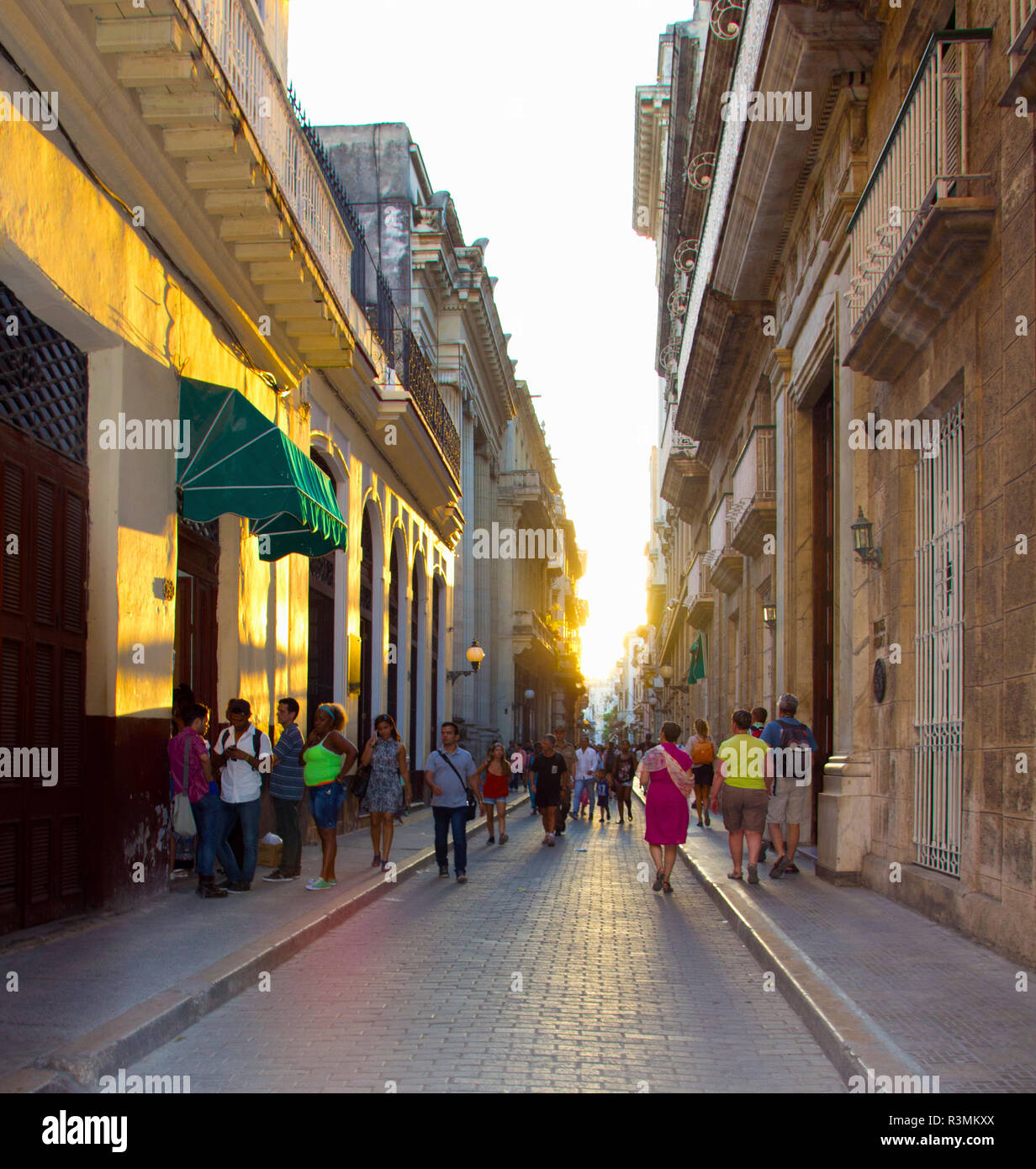 Marilyn parver hi-res stock photography and images - Alamy