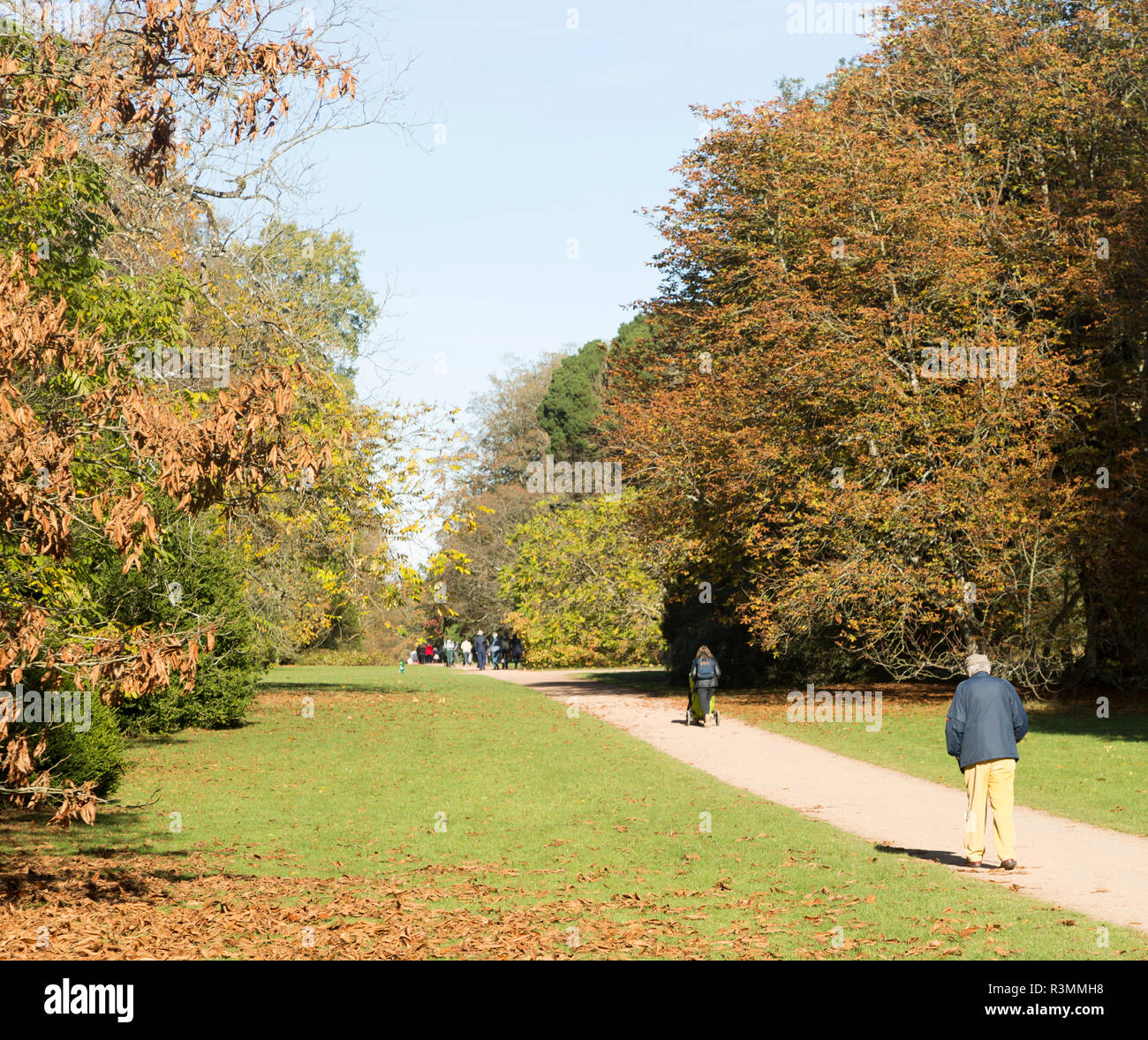 People walking along pathways in National arboretum, Westonbirt ...