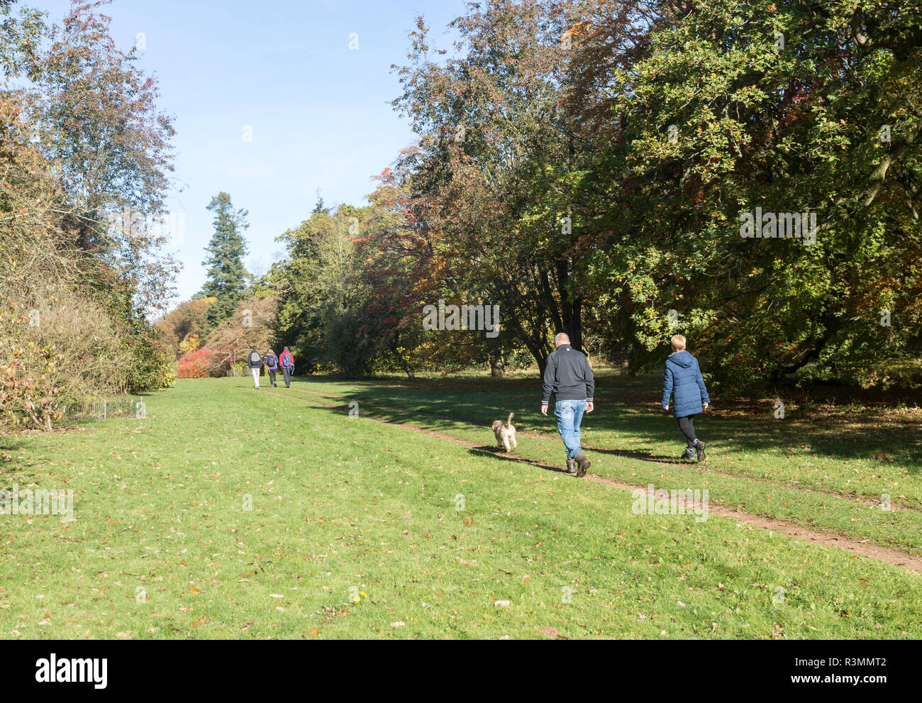People walking along pathways in National arboretum, Westonbirt ...