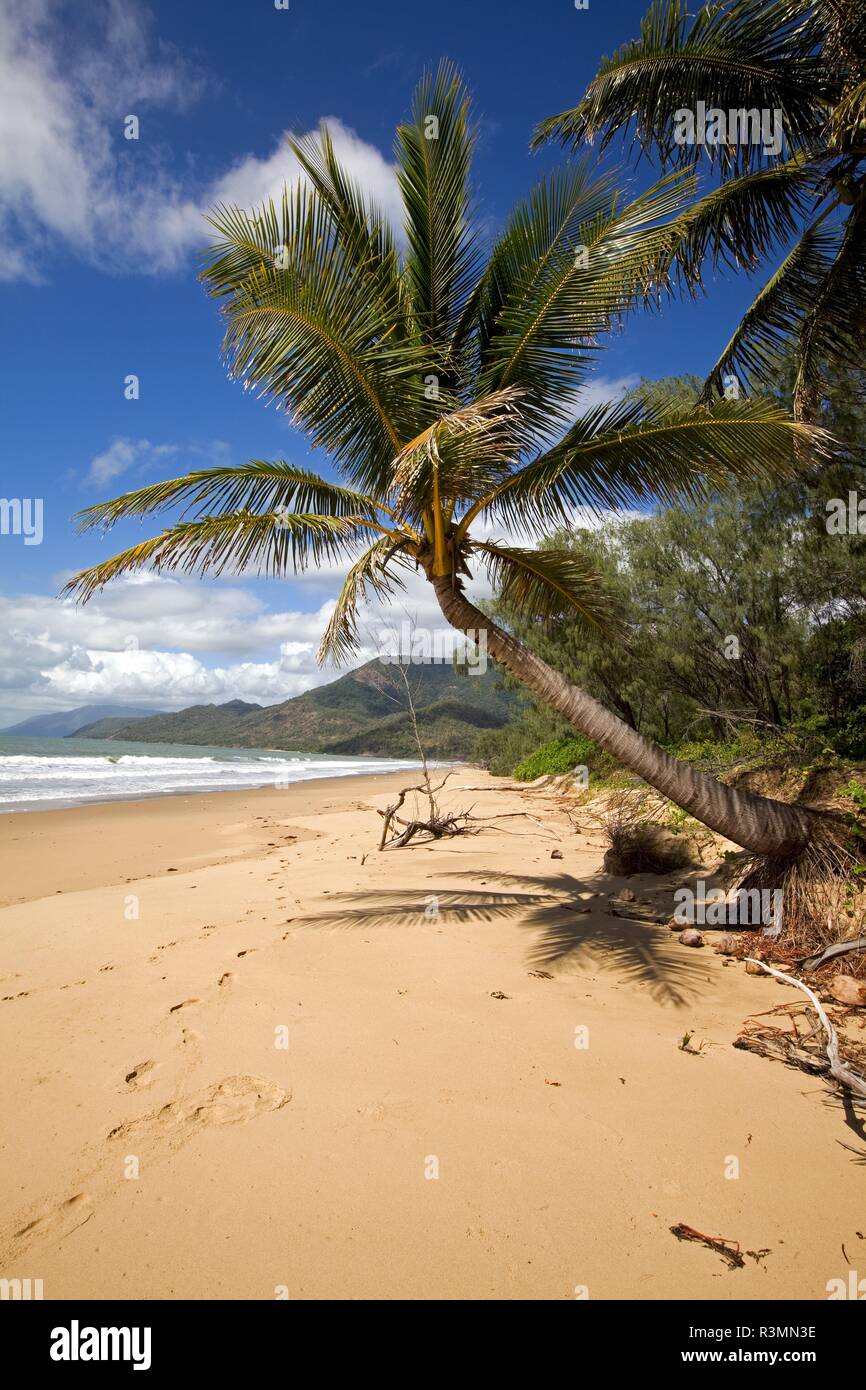 Thala beach hi-res stock photography and images - Alamy