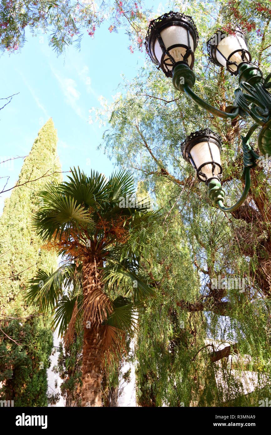 pepper tree - spain Stock Photo - Alamy