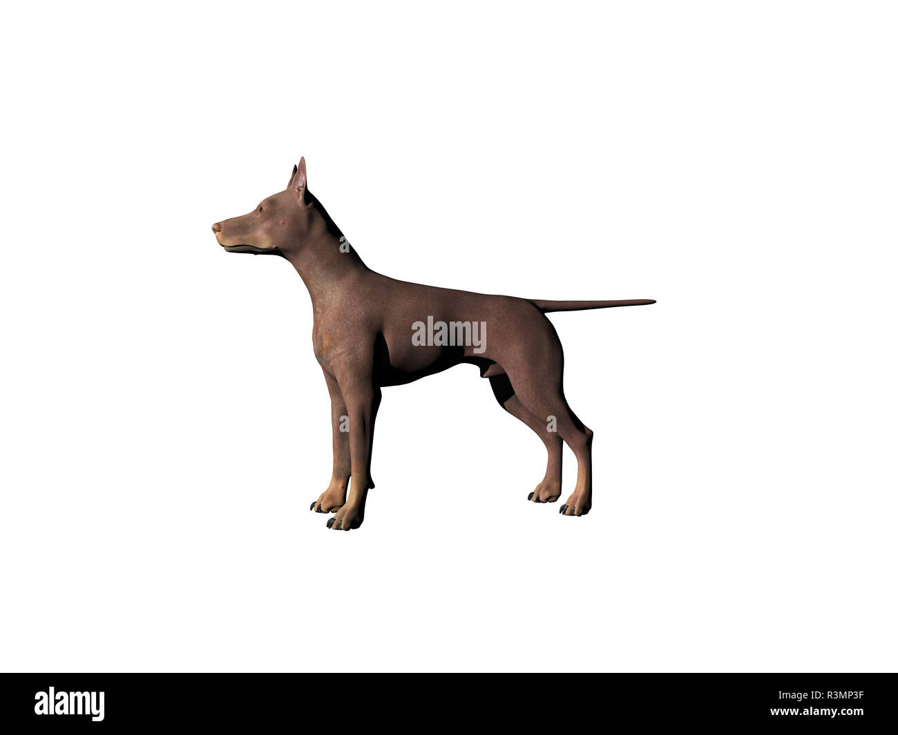 Kleffer hi-res stock photography and images - Alamy