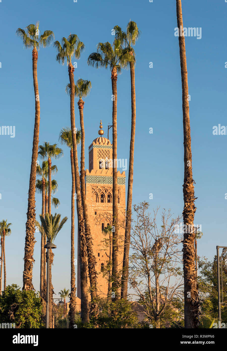 Mosque behind trees hi-res stock photography and images - Alamy