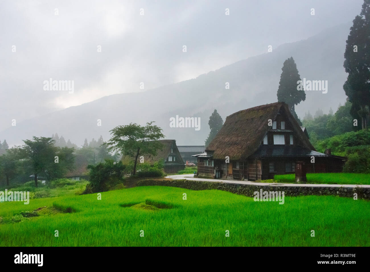 Japan mountain mist hi-res stock photography and images - Alamy