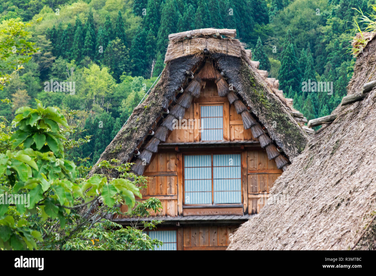 Gassho-zukuri houses in the mountain, Shirakawa-go, Gifu Prefecture ...