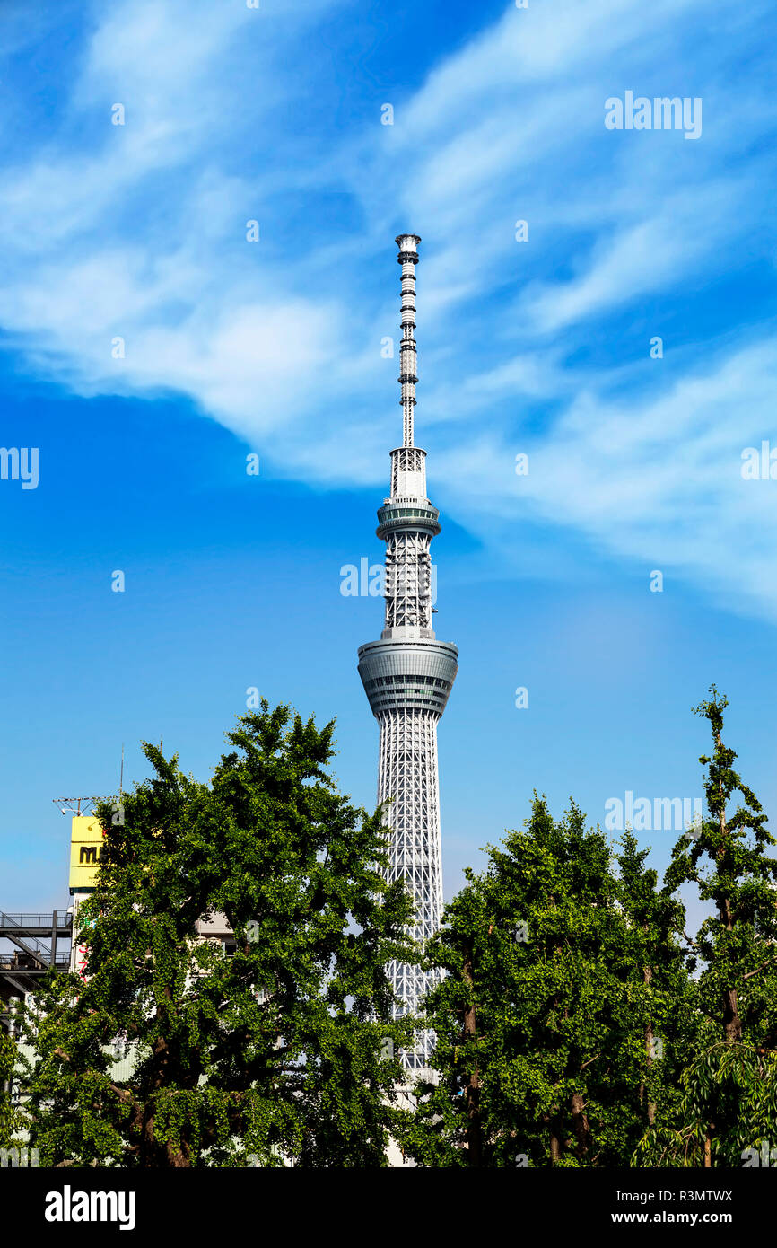 Tokyo, Japan. Skytree communications tower Stock Photo - Alamy
