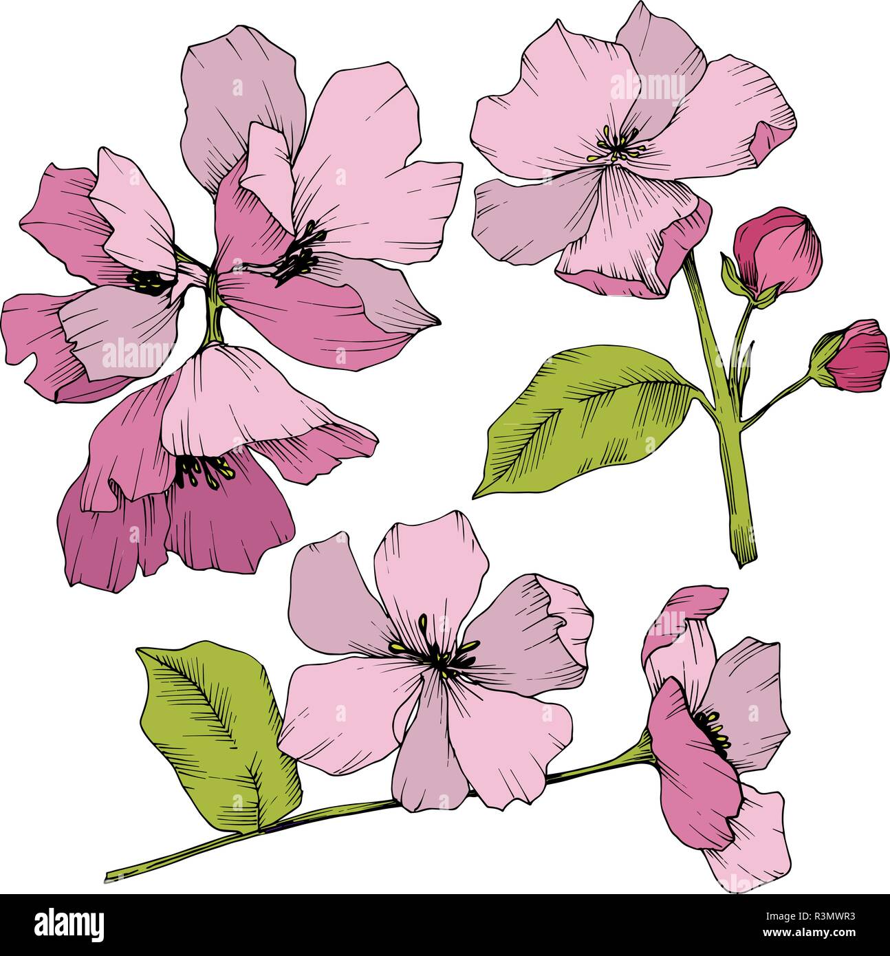 Appe Cut Out Stock Images & Pictures - Alamy