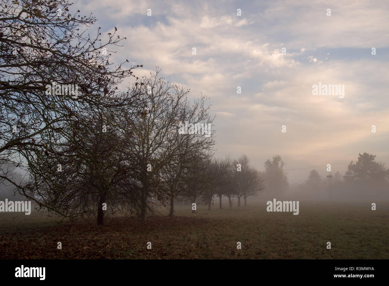 In Reih und Glied Stock Photo - Alamy