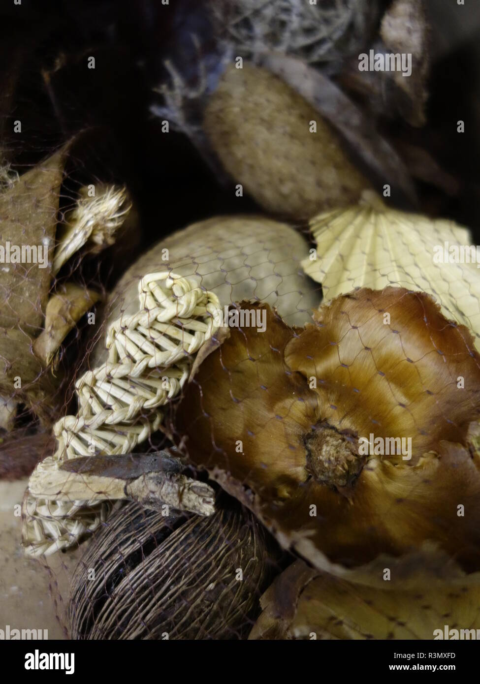 natural woodland wood and flora texture Stock Photo - Alamy