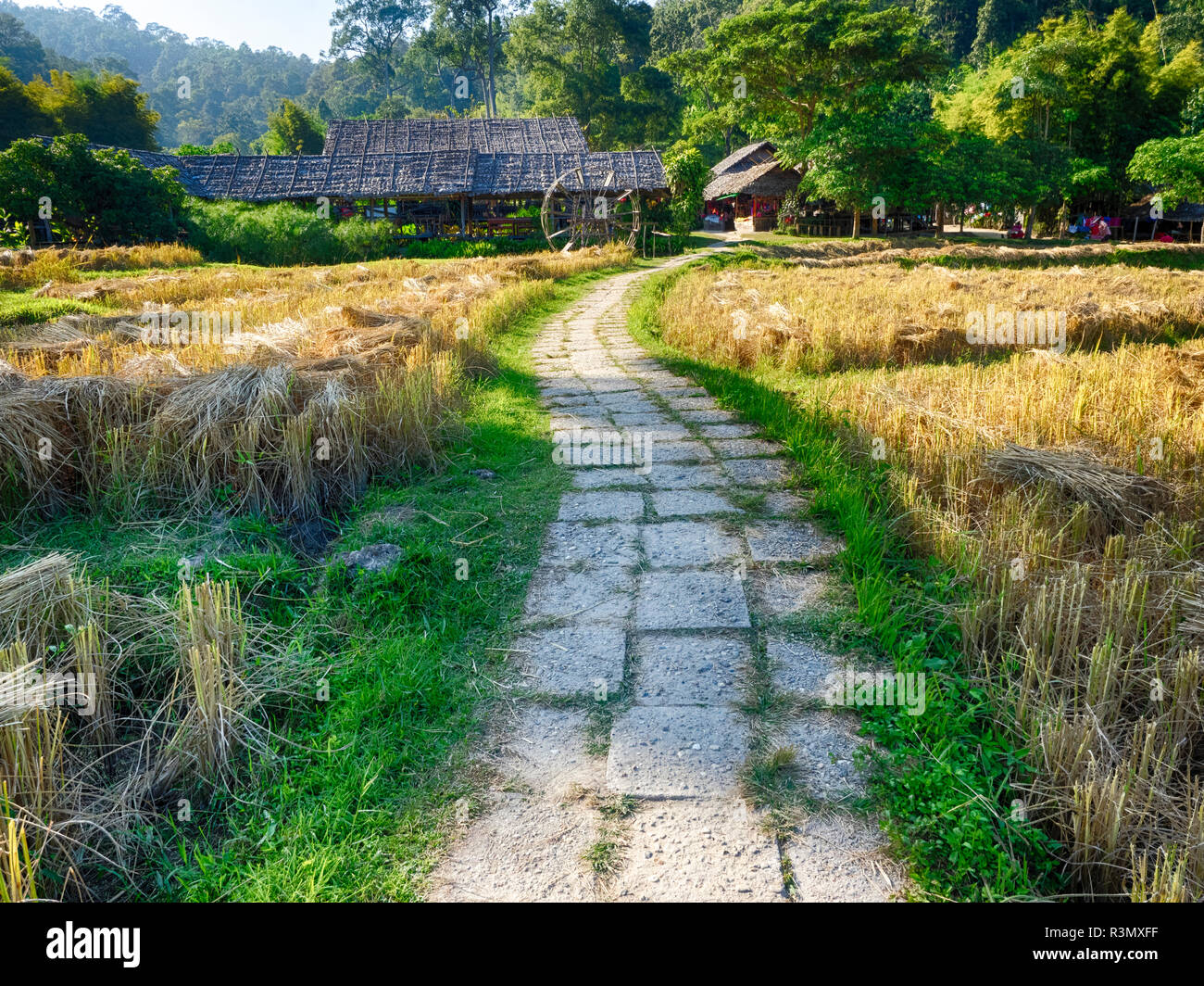 Thailand, Chiang Mai, Road leading to Hillside minority Village Stock ...
