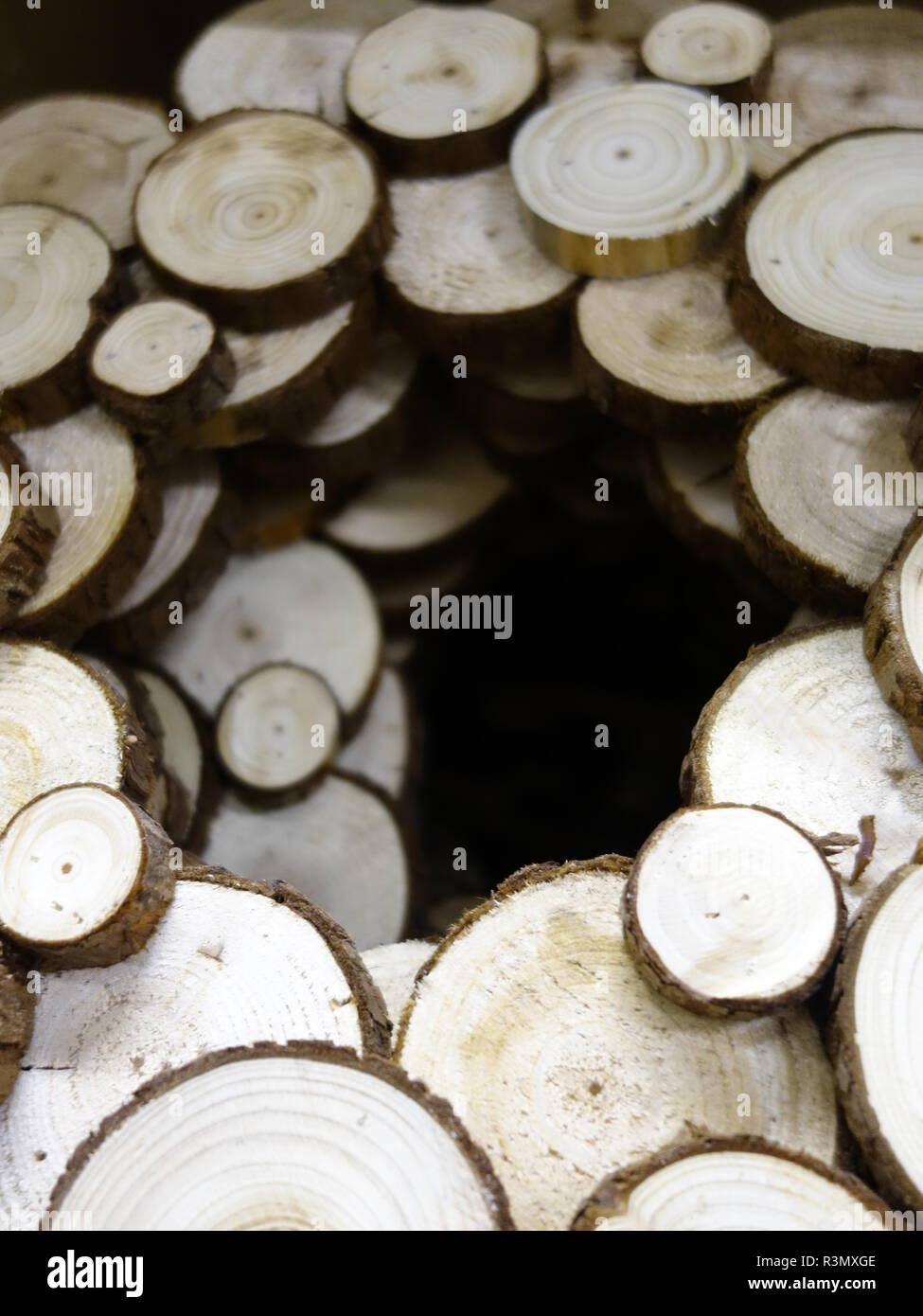 natural woodland wood and flora texture Stock Photo - Alamy