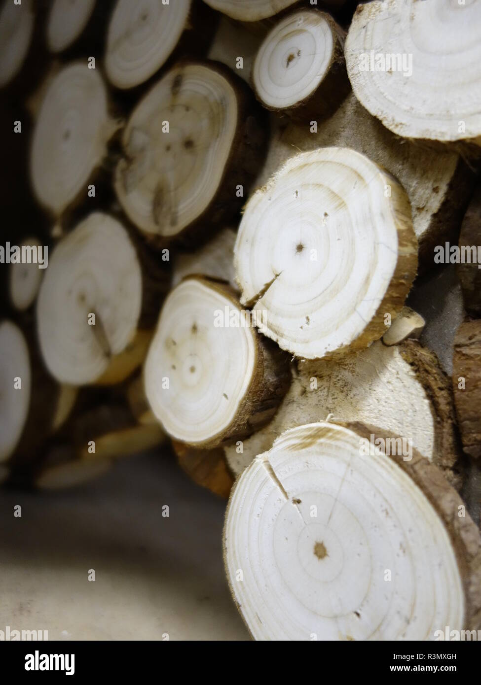 natural woodland wood and flora texture Stock Photo - Alamy