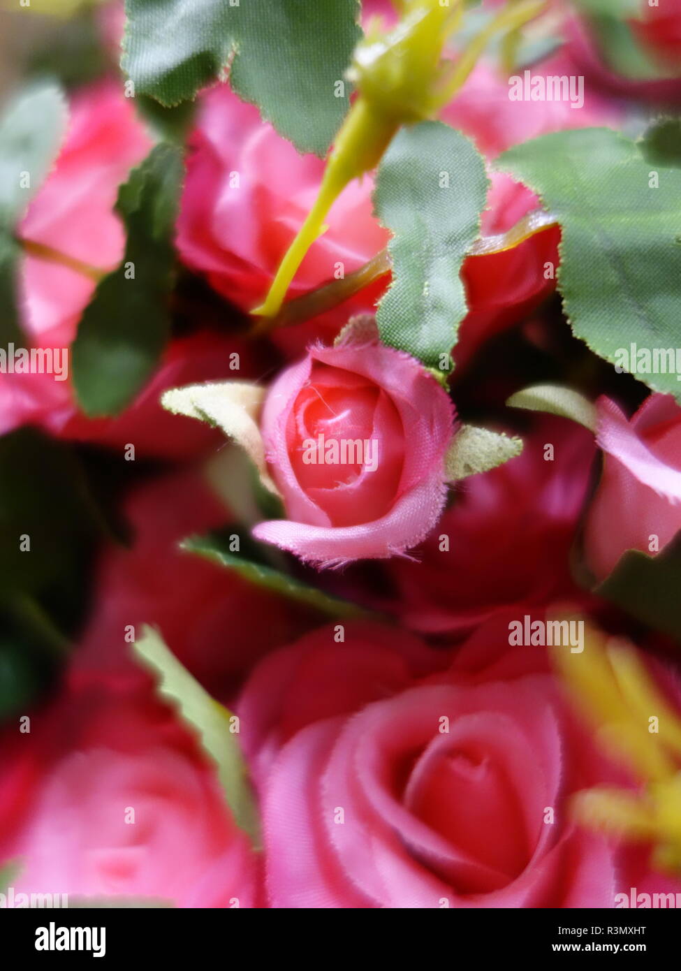 natural woodland wood and flora texture Stock Photo - Alamy