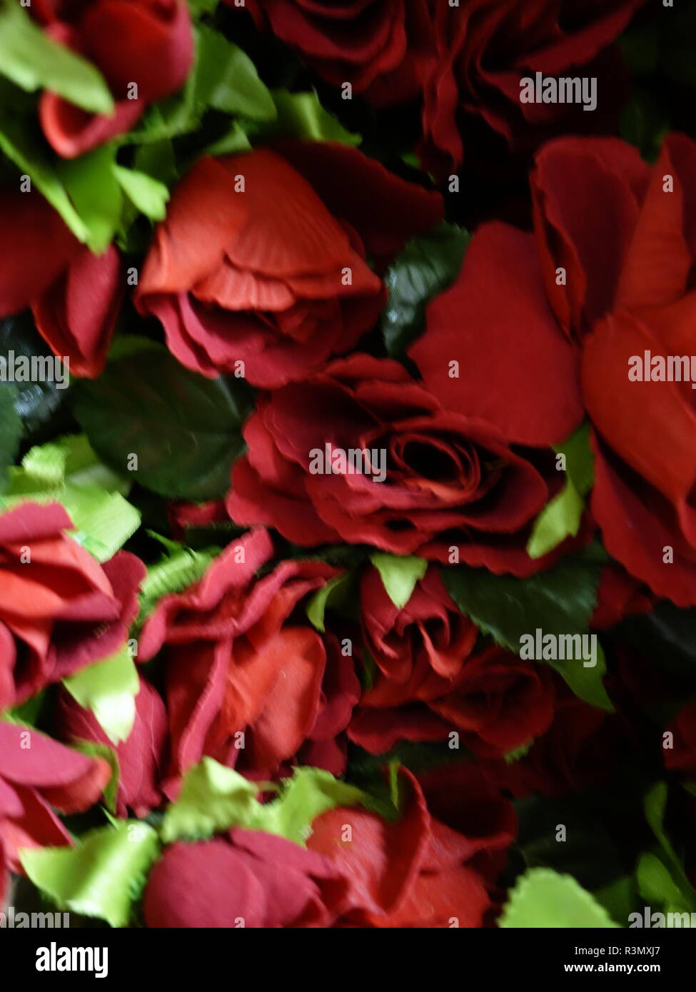 natural woodland wood and flora texture Stock Photo - Alamy