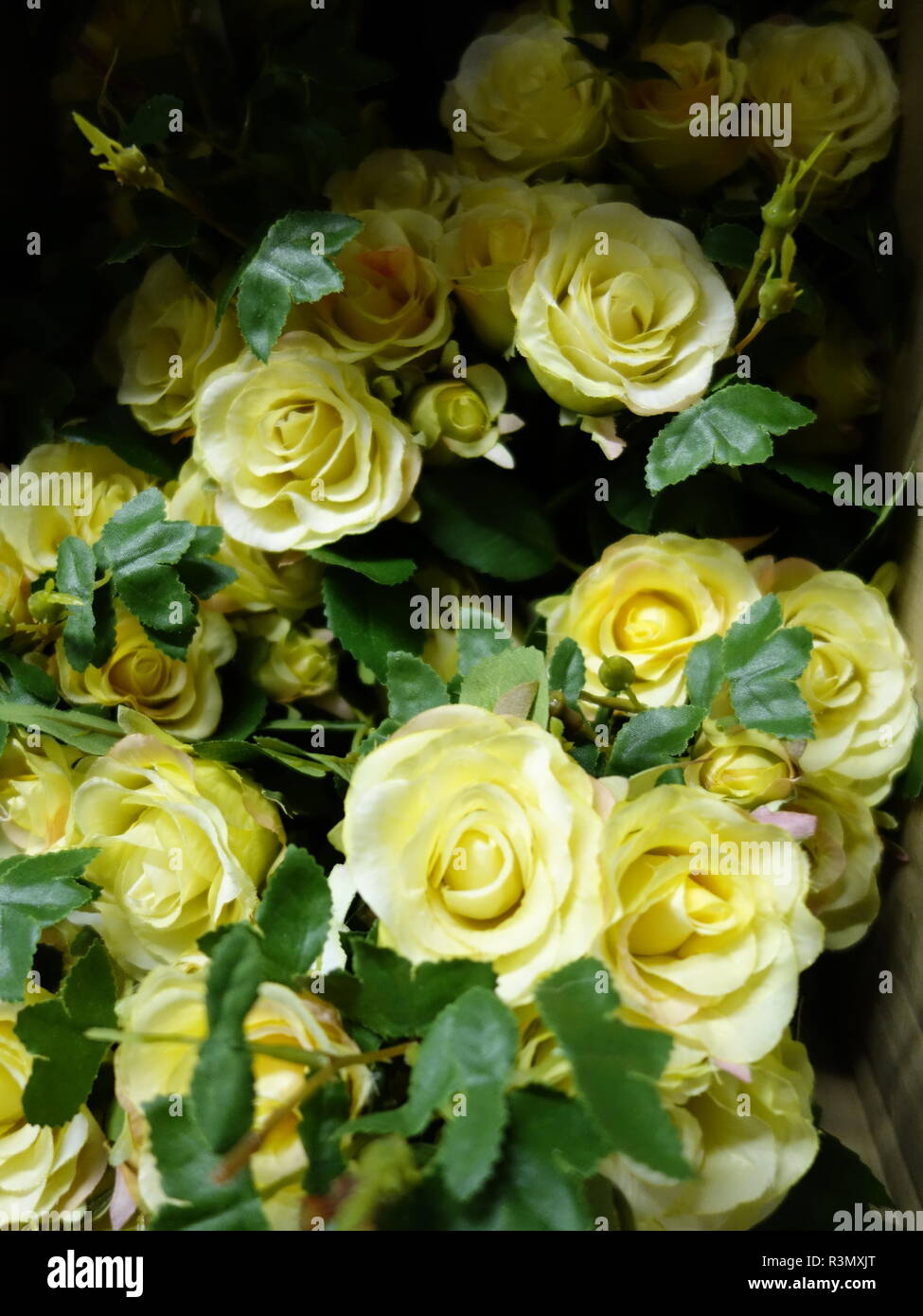 natural woodland wood and flora texture Stock Photo - Alamy