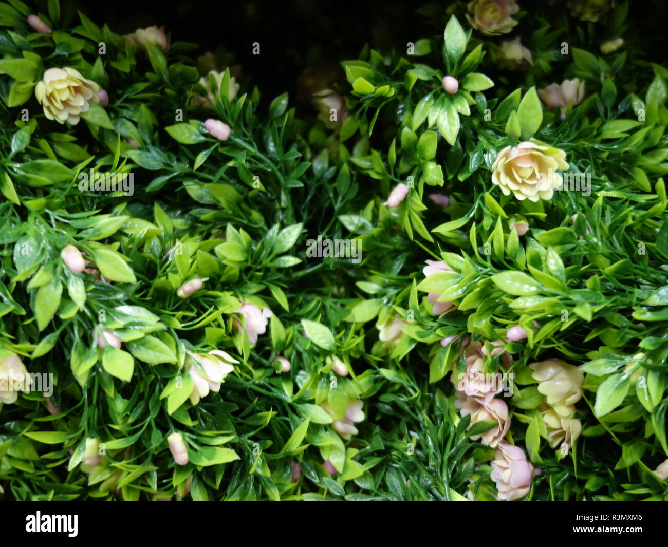 natural woodland wood and flora texture Stock Photo - Alamy