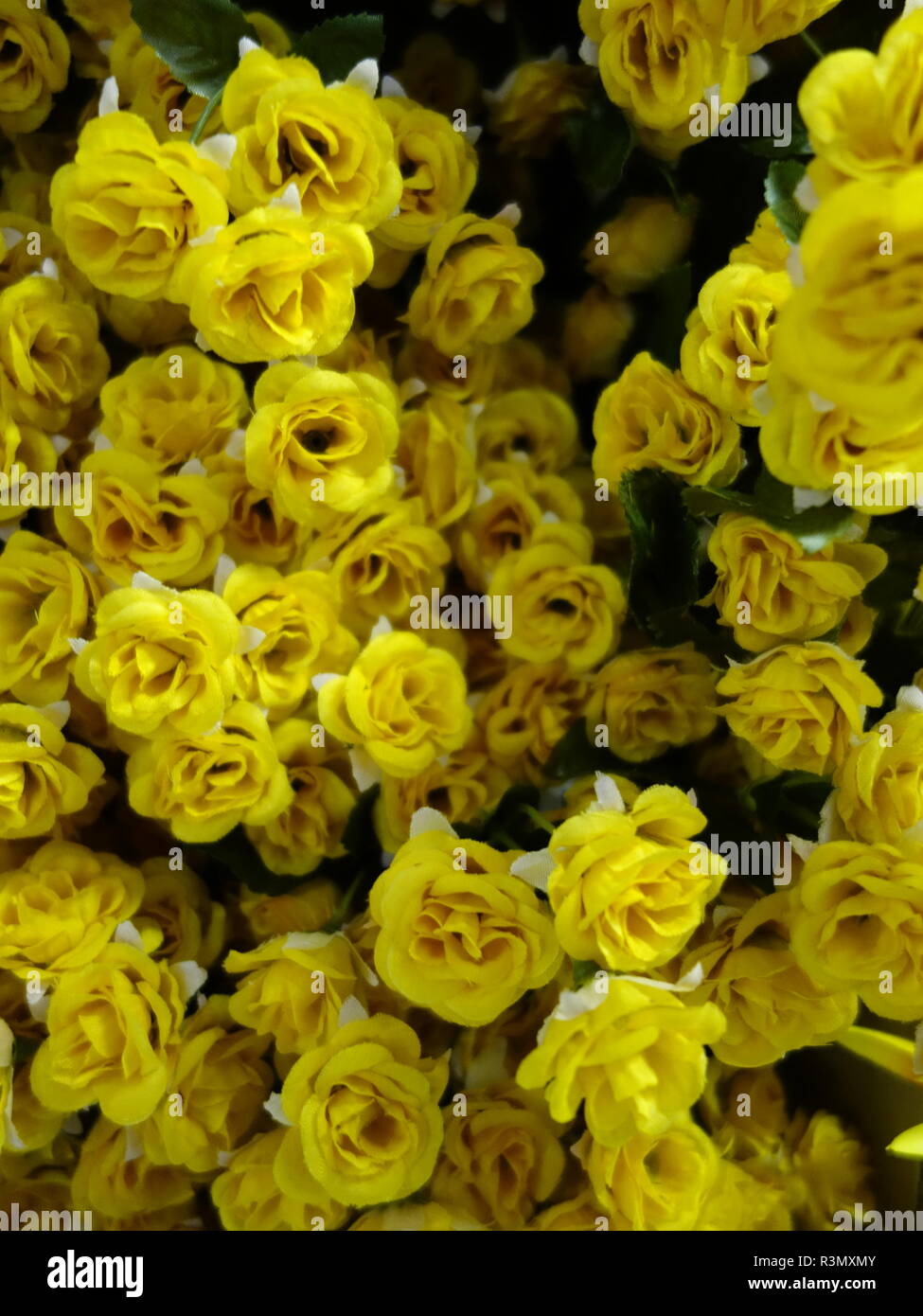 natural woodland wood and flora texture Stock Photo - Alamy