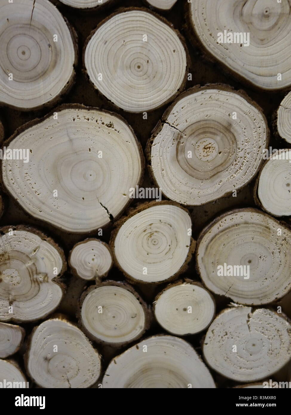 natural woodland wood and flora texture Stock Photo - Alamy