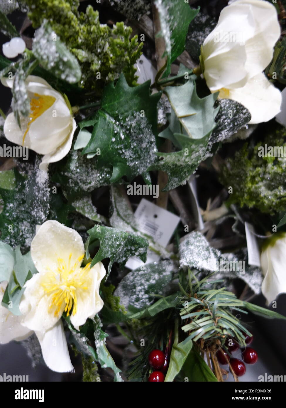 natural woodland wood and flora texture Stock Photo - Alamy