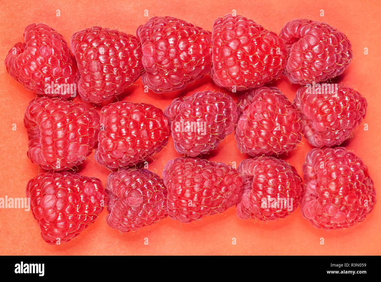 Beautiful raspberries in three lines on a colored backgorund ,only one ...